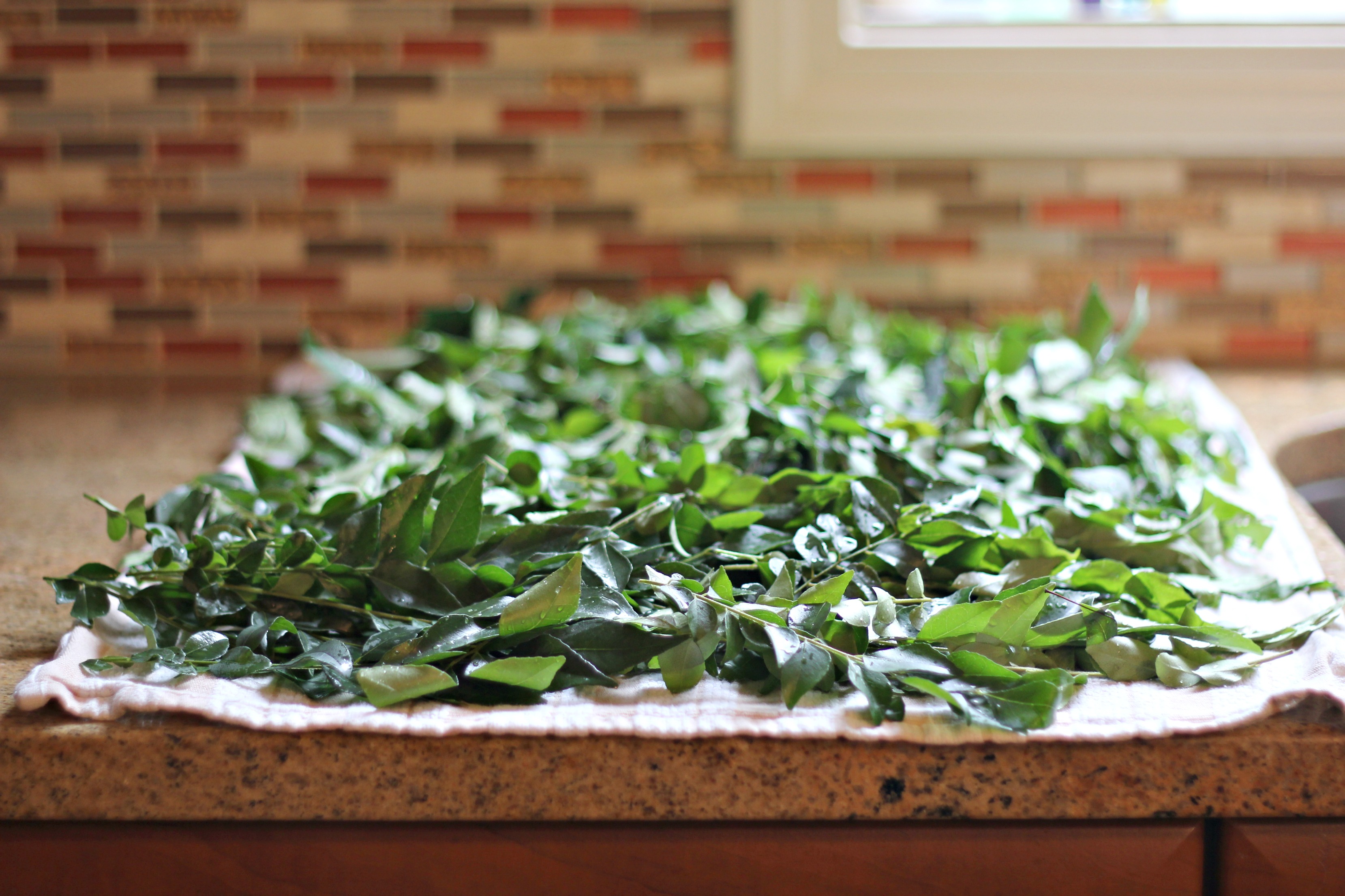 Freezing Limdo (Curry Leaves) - love, SND